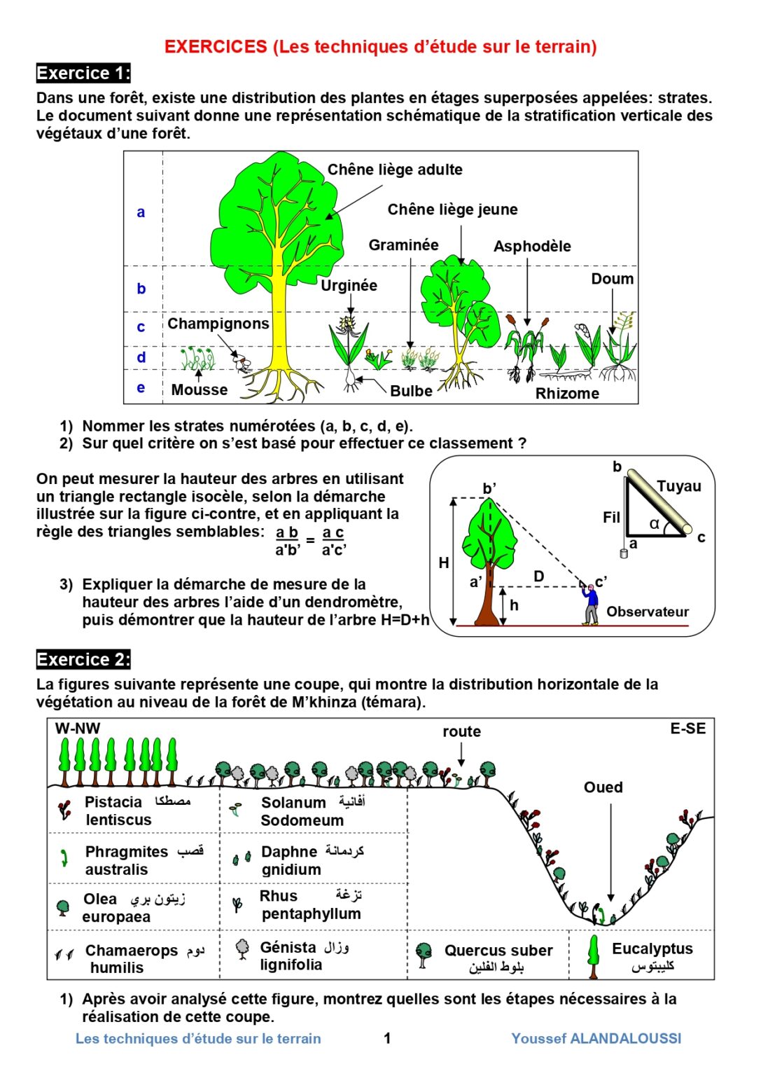 Sortie écologique SVT exercices corrigés