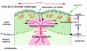La formation des roches magmatiques -Cours